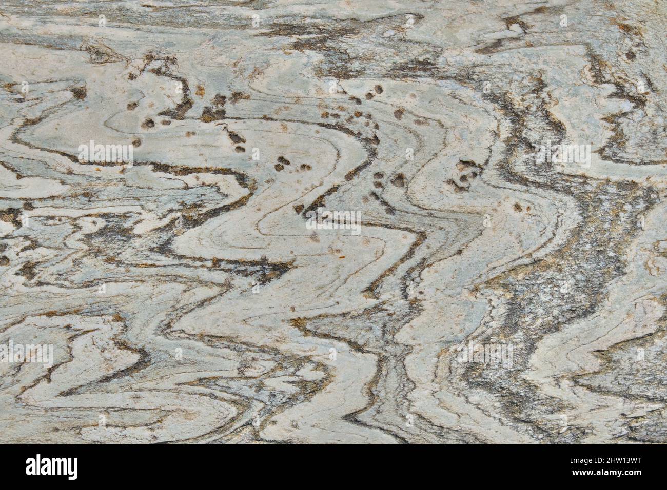 White rock background with dark lines The texture stone with a wavy ...