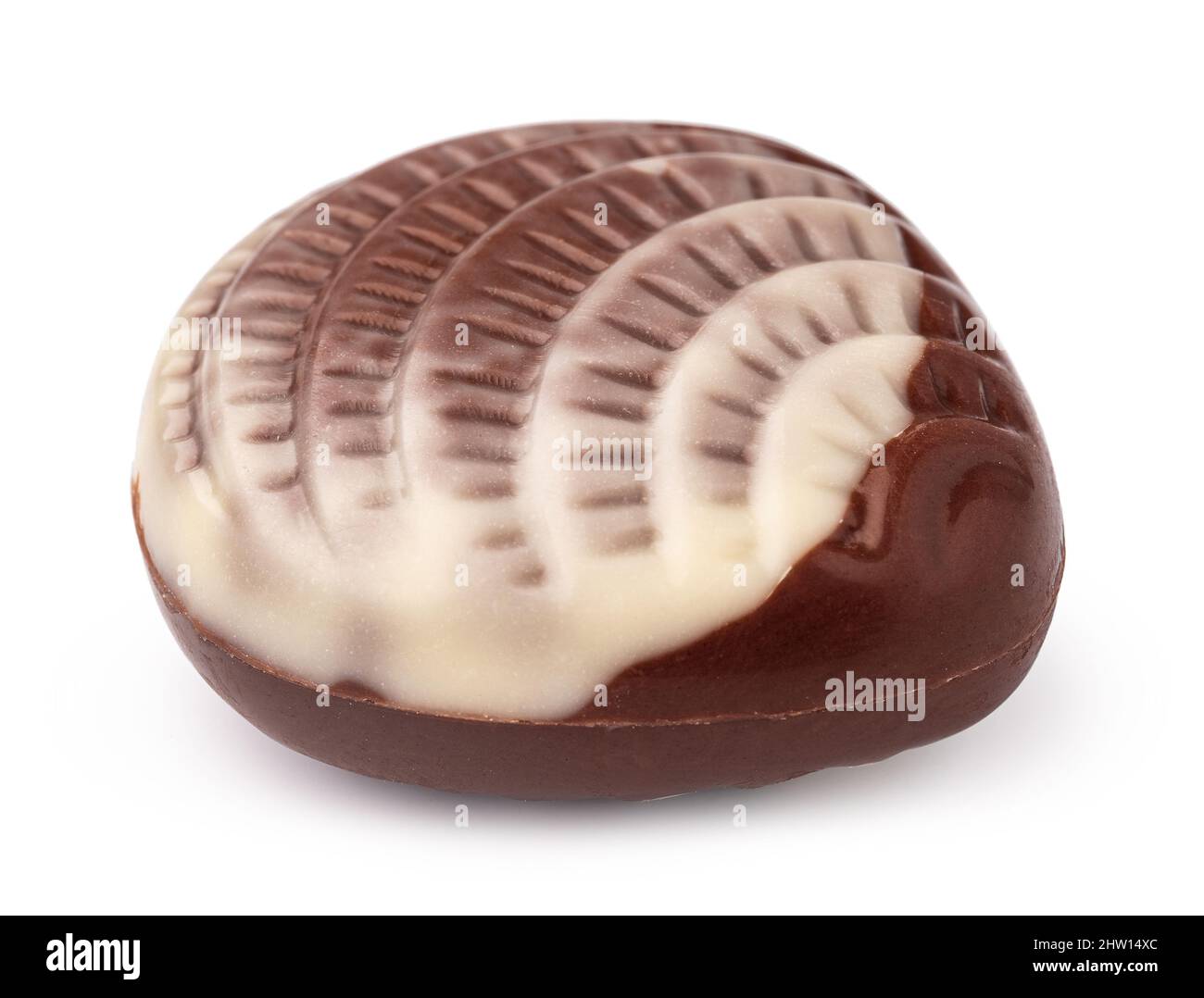 Chocolate sweets shaped as seashells isolated on white background Stock ...