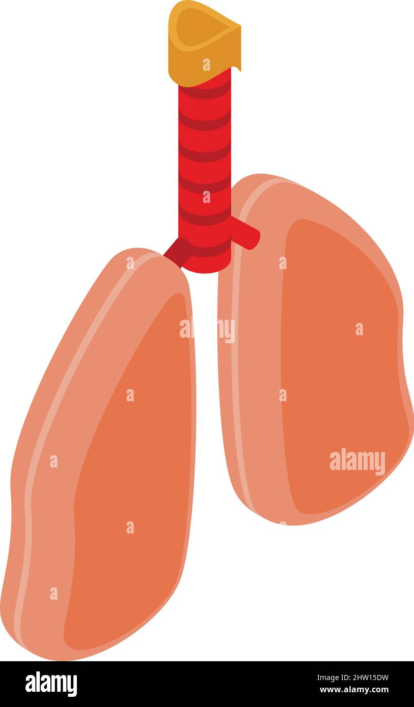 Healthy lungs icon isometric vector. Medical patient. Chest lung Stock ...