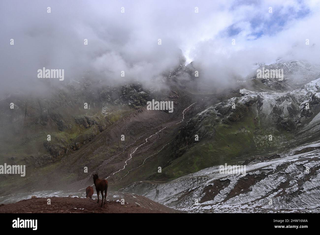 View of Peru Vinicunca Rainbow Mountain under the fog and two horses in ...