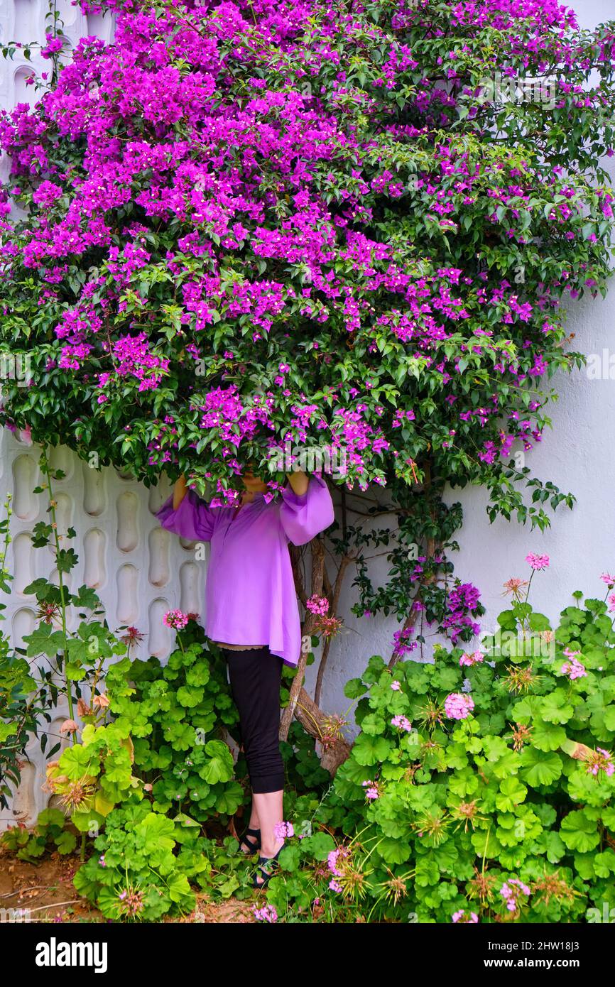 Girl Hiding Face With Flower