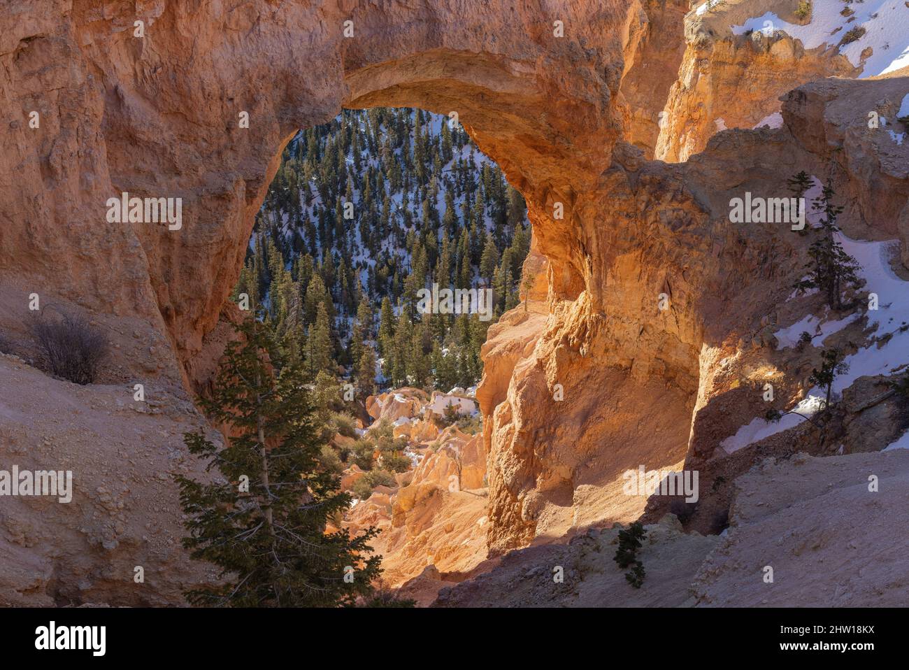 Bryce Canyon National Park Utah Winter Landscape Stock Photo - Alamy
