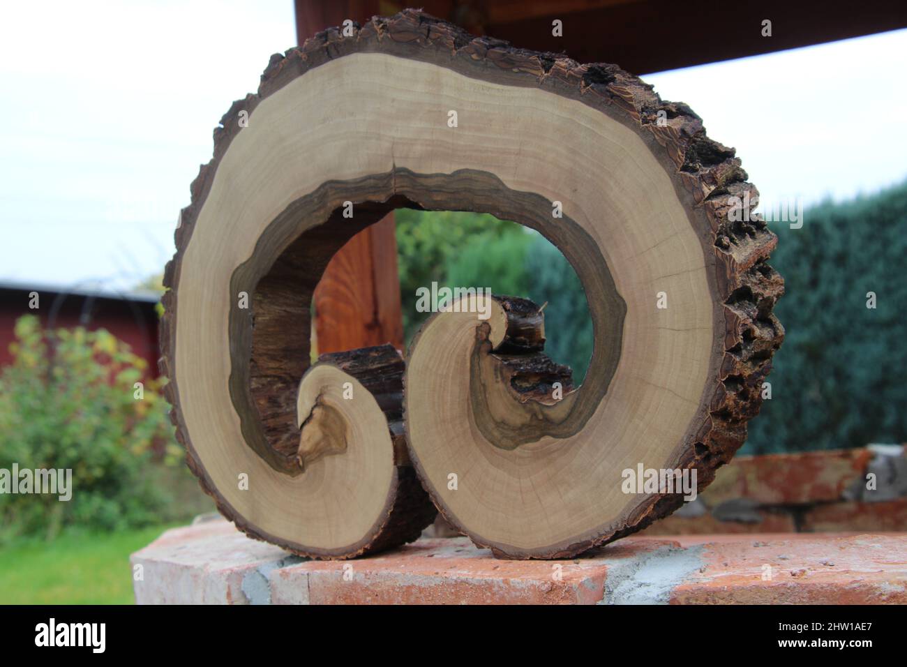 Closeup of a wood formation with curves Stock Photo - Alamy
