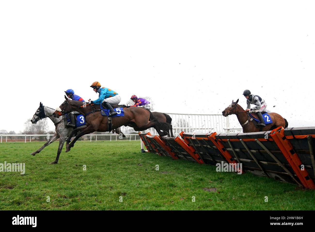 Glimpse of gala horse hi-res stock photography and images - Alamy