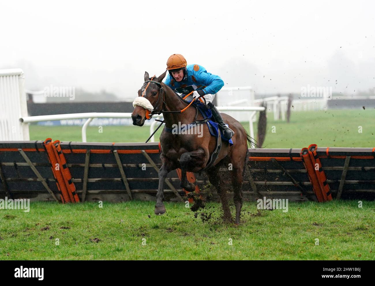 Glimpse of gala horse hi-res stock photography and images - Alamy