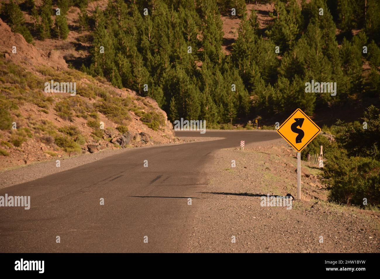 Yellow road sign with a curved arrow against the background of green ...