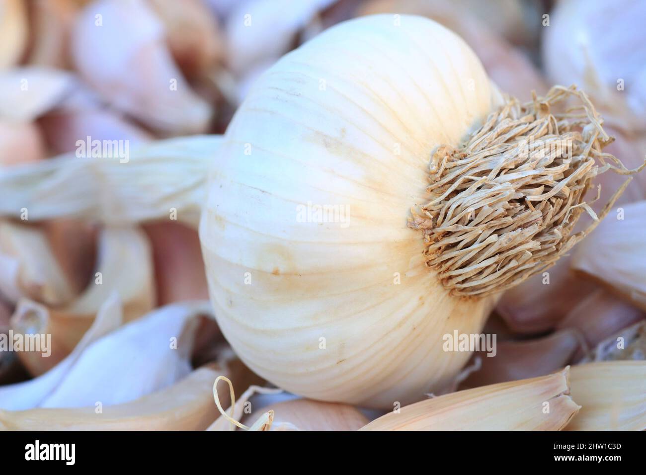 Trets en provence hi-res stock photography and images - Alamy