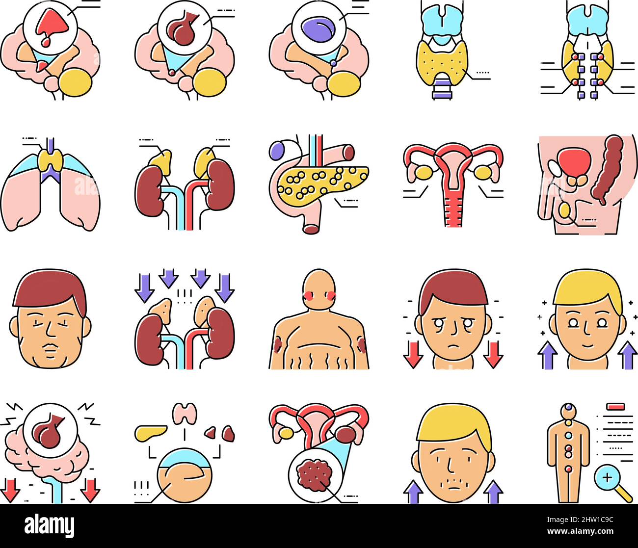 Endocrinology Medical Disease Icons Set Vector Stock Vector Image & Art ...