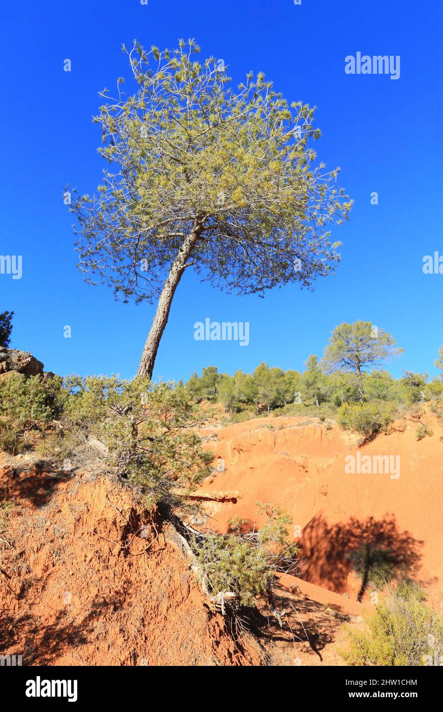 France, Bouches du Rhone, Grand Site Concors Sainte Victoire ...