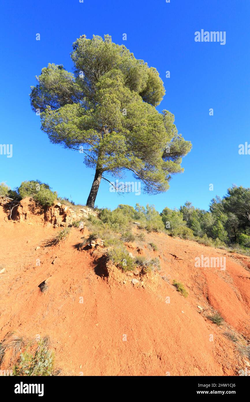 Roques hautes hi-res stock photography and images - Alamy