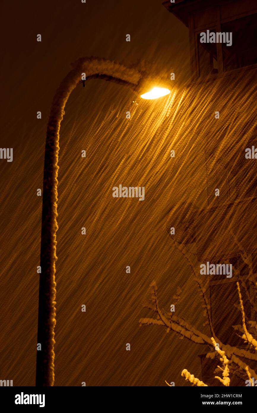 Heavy falling snow in street lamp light. evening snowfall Stock Photo ...
