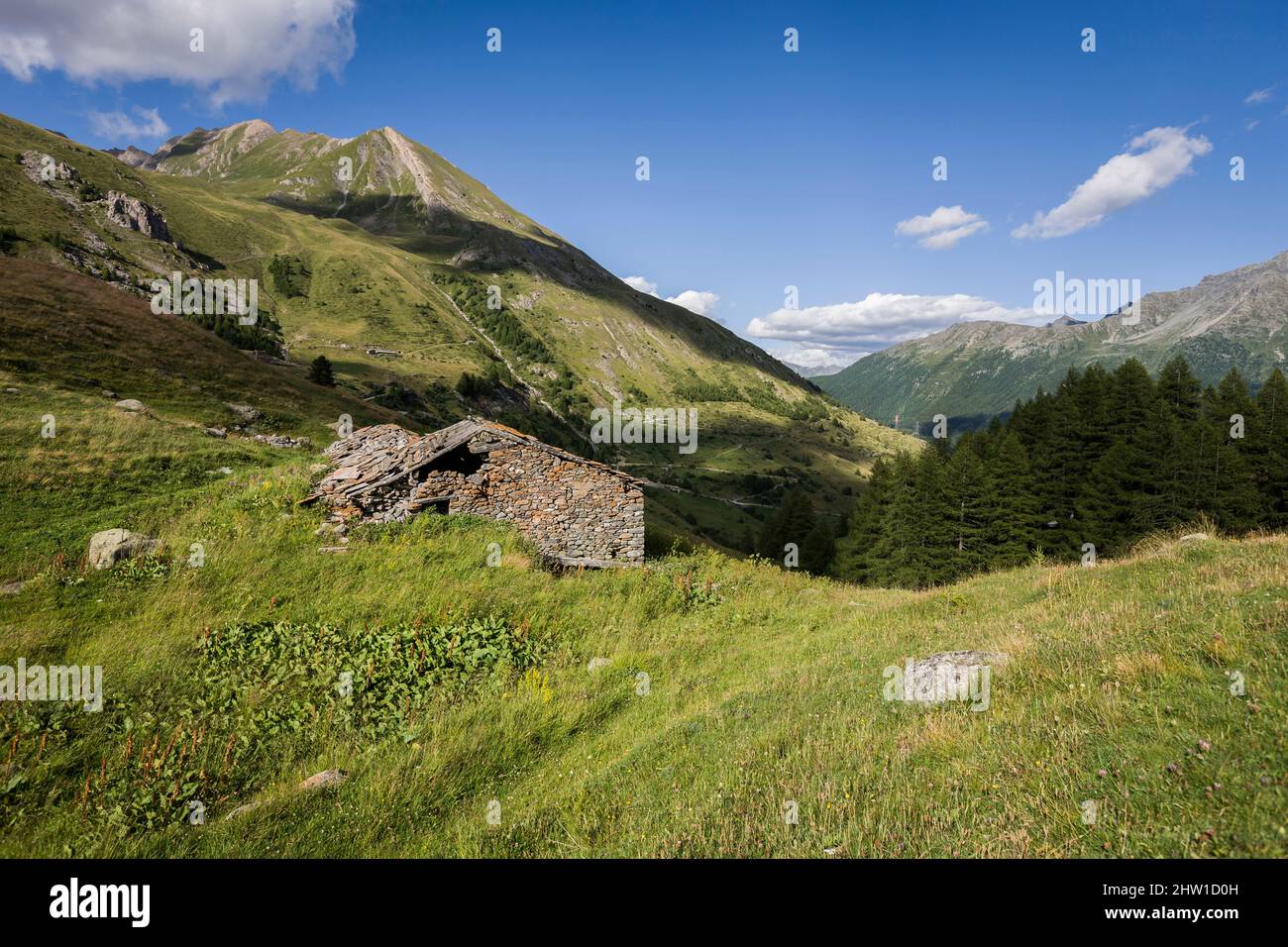 Italy, Aosta Valley, Morgex, mountain pasture and stone sheepfold Stock ...
