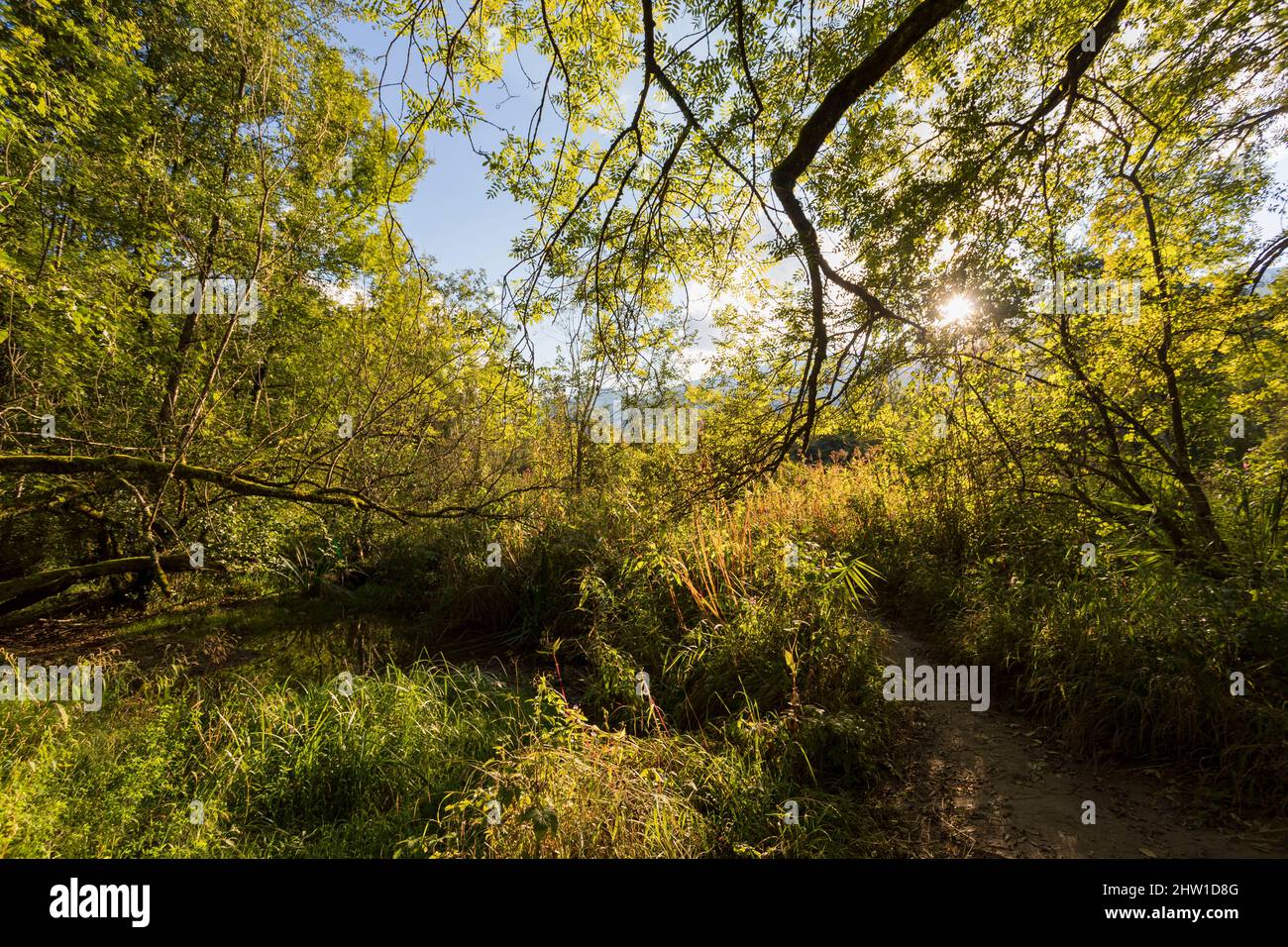 France, Haute Savoie, Annecy, Lake Annecy, Bout du Lac natural reserve ...