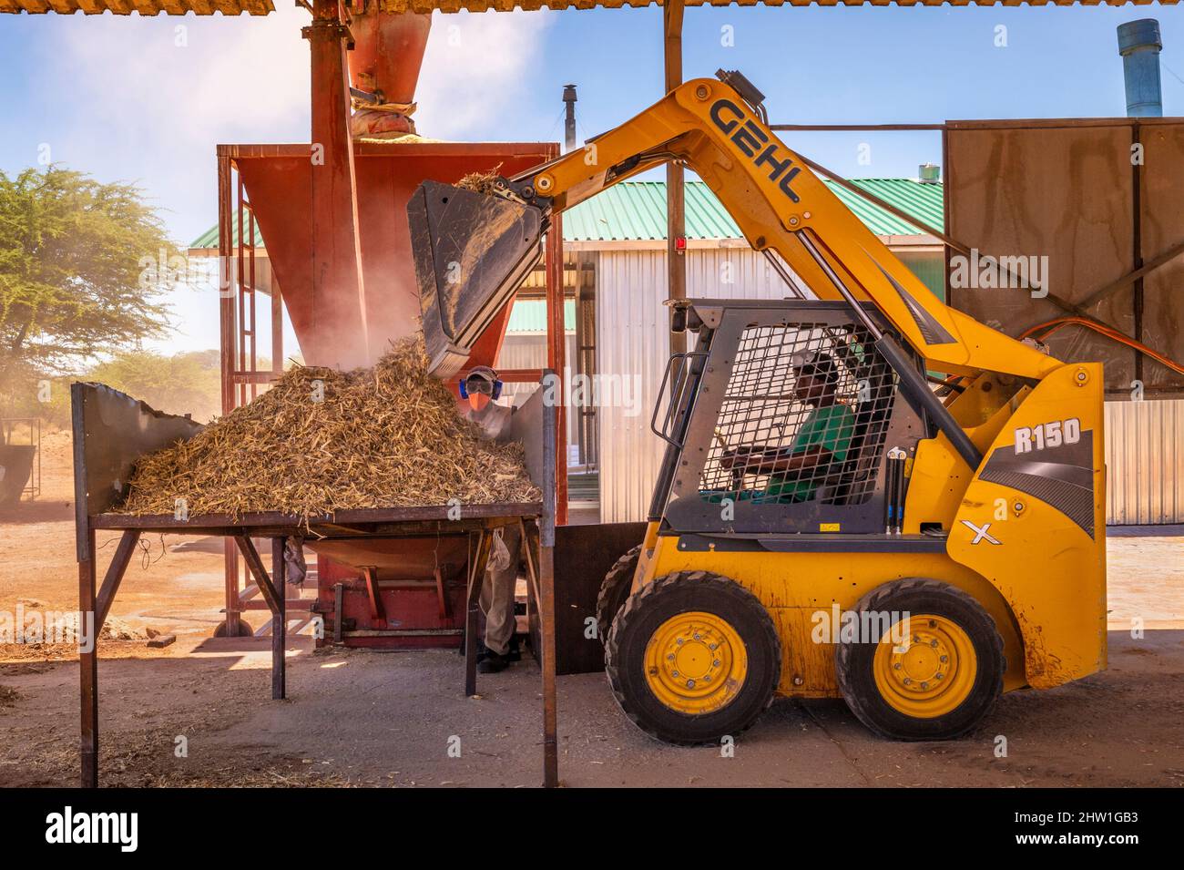 Namibia, Otjozondjupa Region, Otjiwarongo, Cheetah Conservation Fund ...