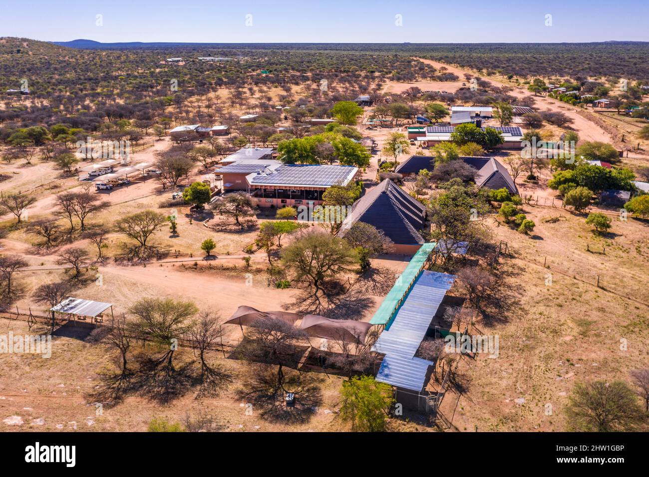 Namibia, Otjozondjupa region, Otjiwarongo, Cheetah Conservation Fund ...