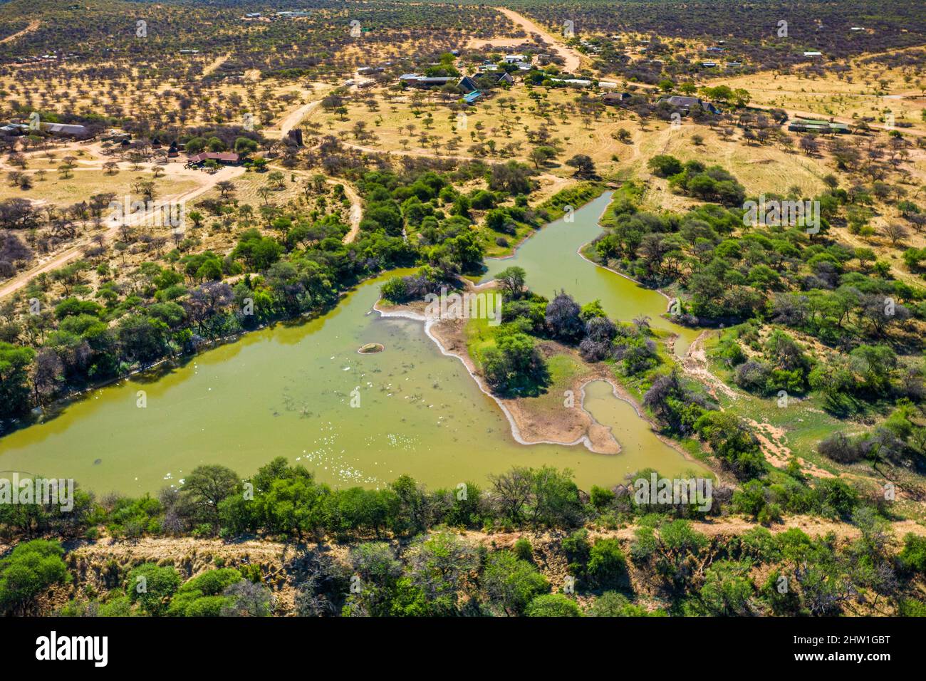 Namibia, Otjozondjupa region, Otjiwarongo, Cheetah Conservation Fund ...
