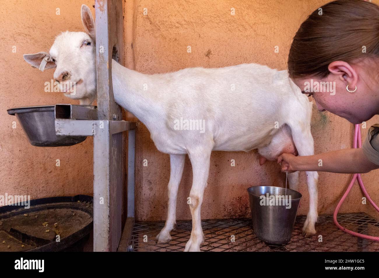 Ice age fund hi-res stock photography and images - Alamy