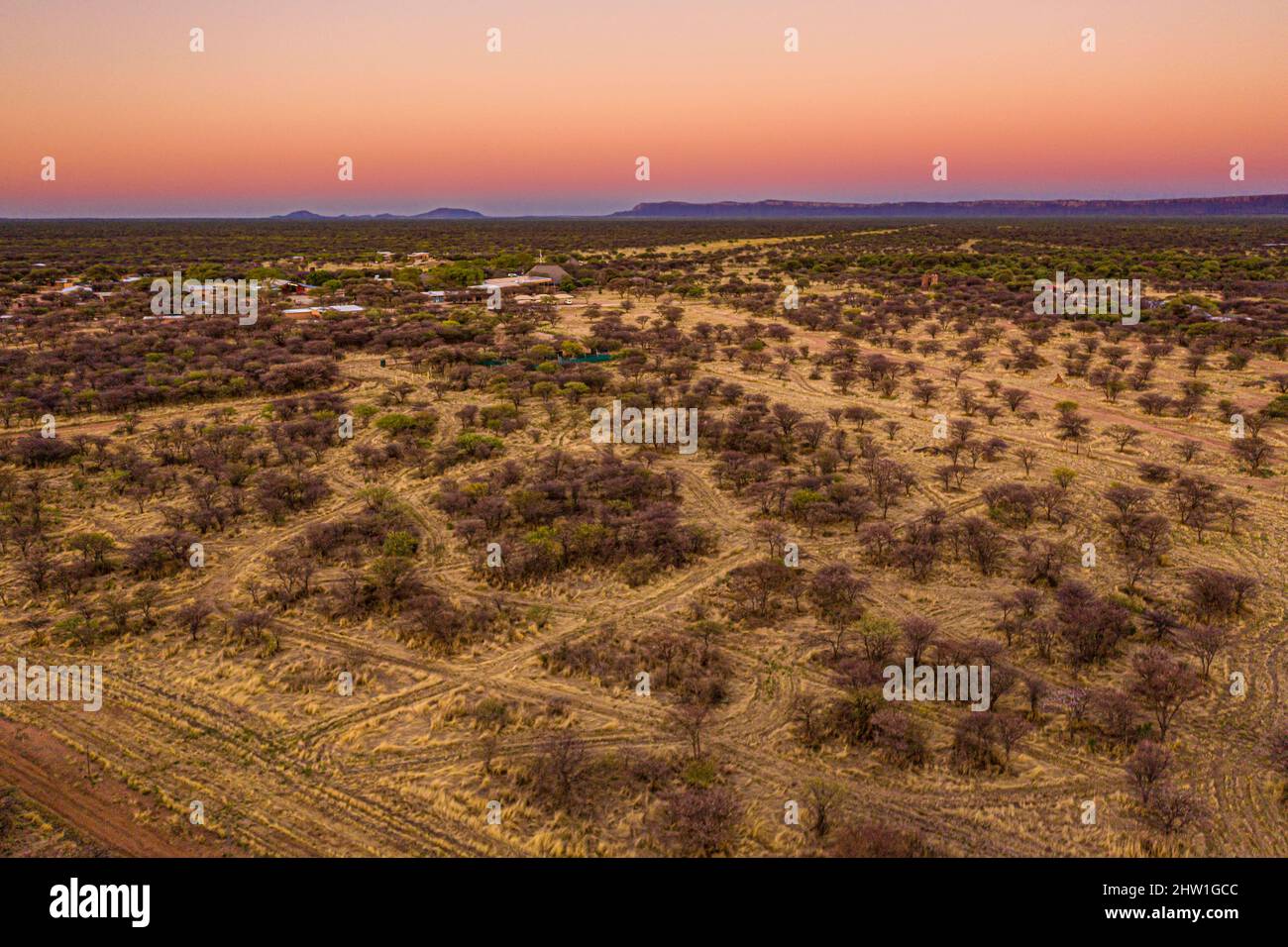 Namibia, Otjozondjupa region, Otjiwarongo, Cheetah Conservation Fund ...