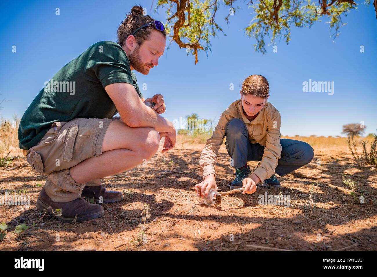 Namibia, Otjozondjupa region, Otjiwarongo, Cheetah Conservation Fund ...