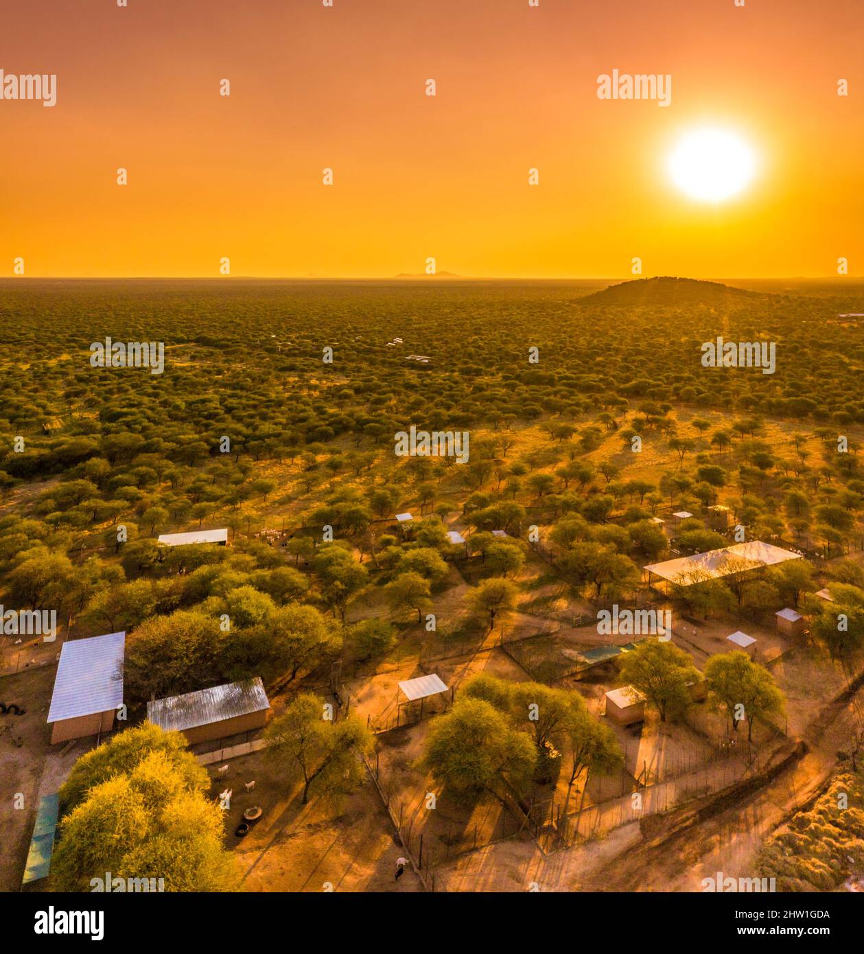 Namibia, Otjozondjupa region, Otjiwarongo, Cheetah Conservation Fund ...