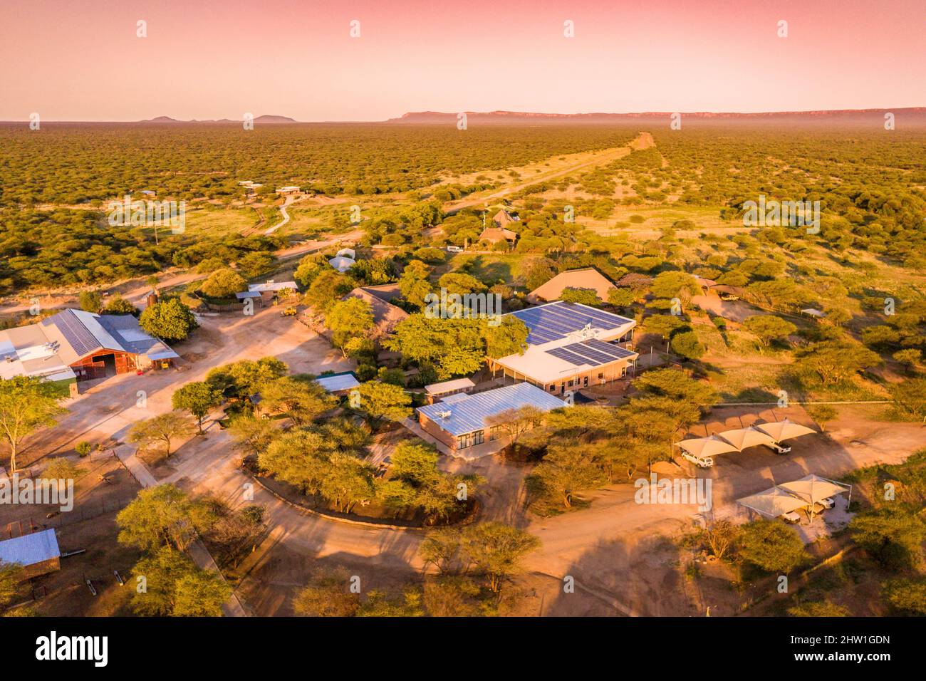 Namibia, Otjozondjupa region, Otjiwarongo, Cheetah Conservation Fund ...