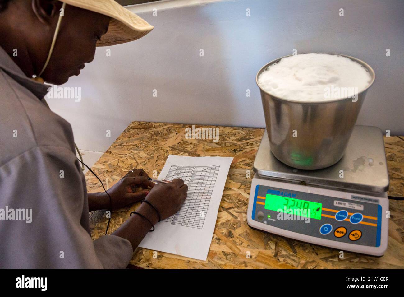 Namibia, Otjozondjupa region, Otjiwarongo, Cheetah Conservation Fund ...