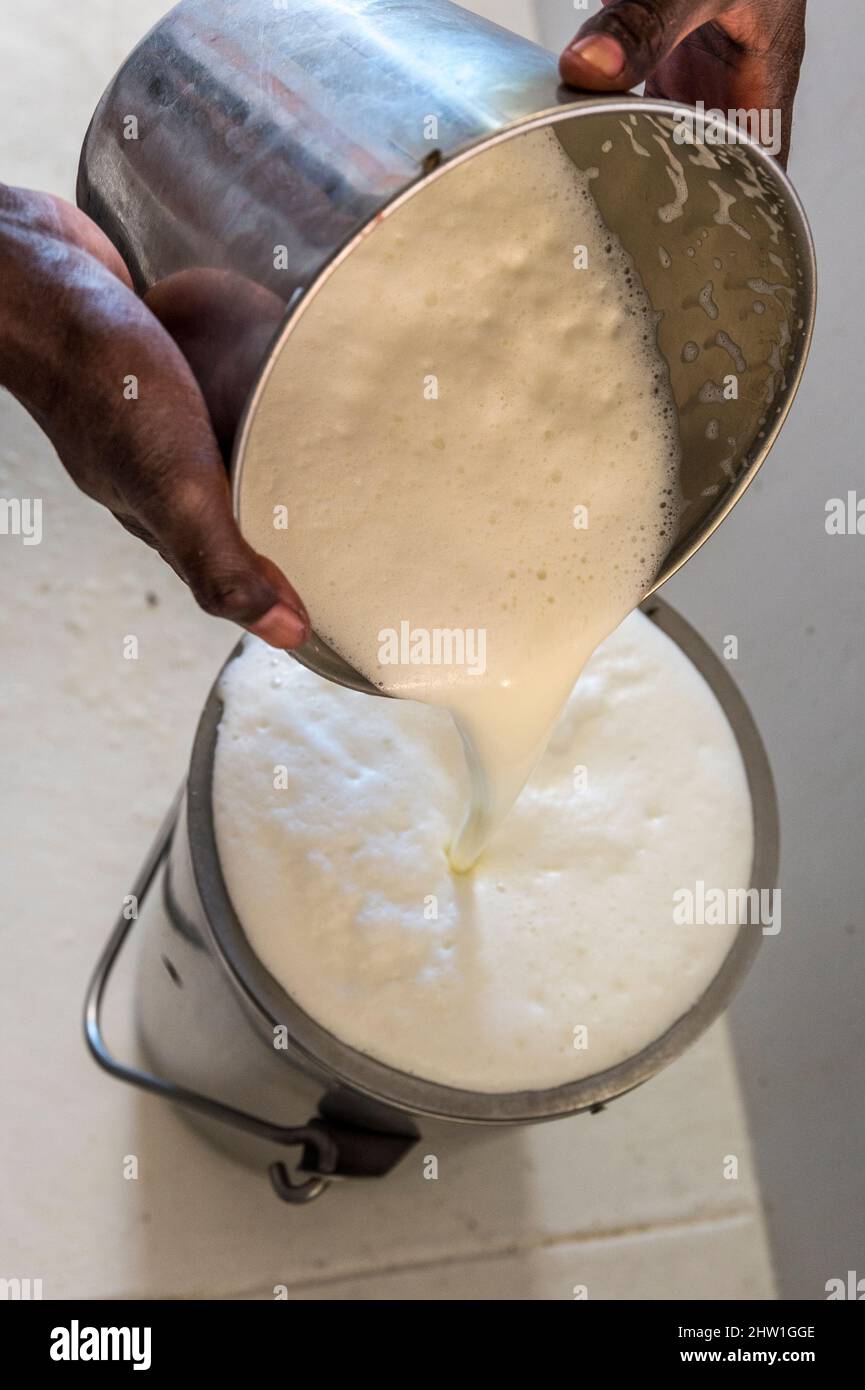 Namibia, Otjozondjupa region, Otjiwarongo, Cheetah Conservation Fund ...