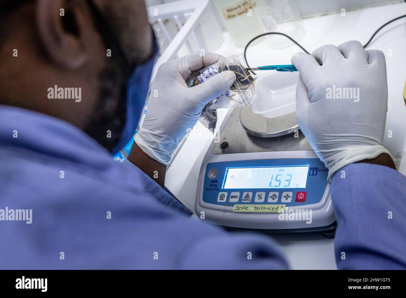 Namibia, Otjozondjupa region, Otjiwarongo, Cheetah Conservation Fund ...