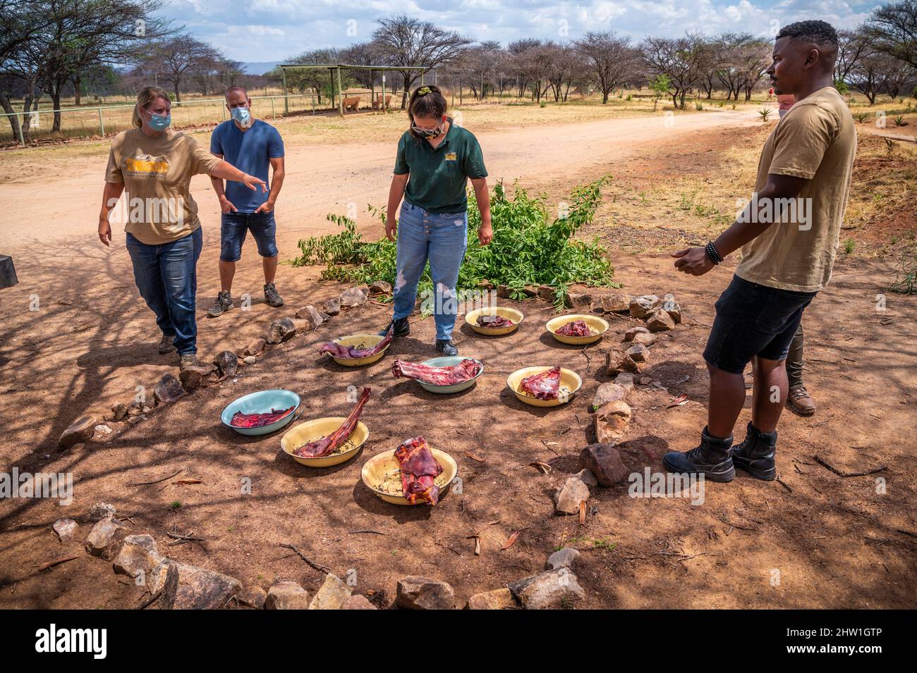 Namibia, Otjozondjupa region, Otjiwarongo, Cheetah Conservation Fund ...