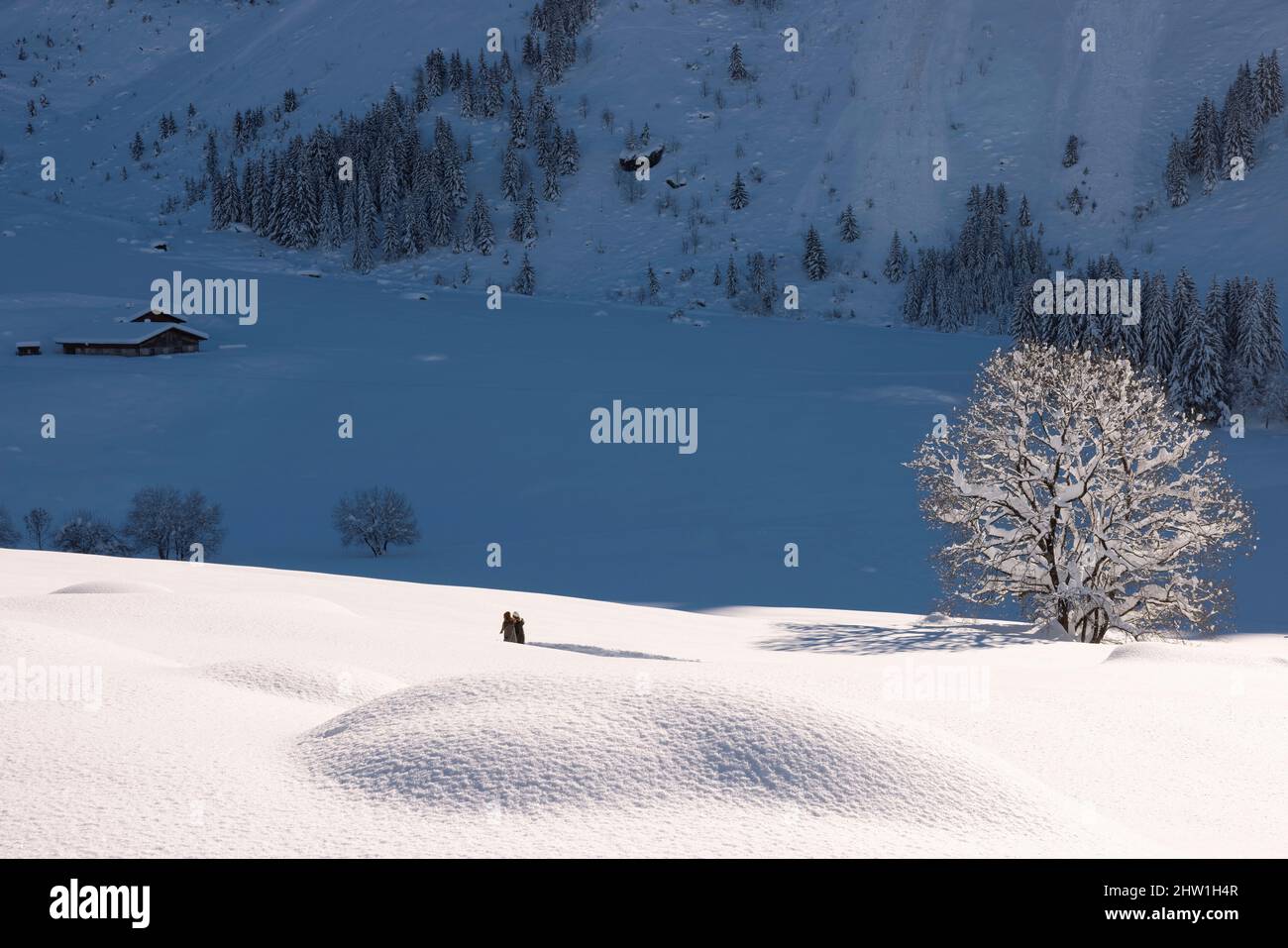 France, Haute-Savoie (74), La Clusaz, Lac des Confins (1358 m.).Hikers ...