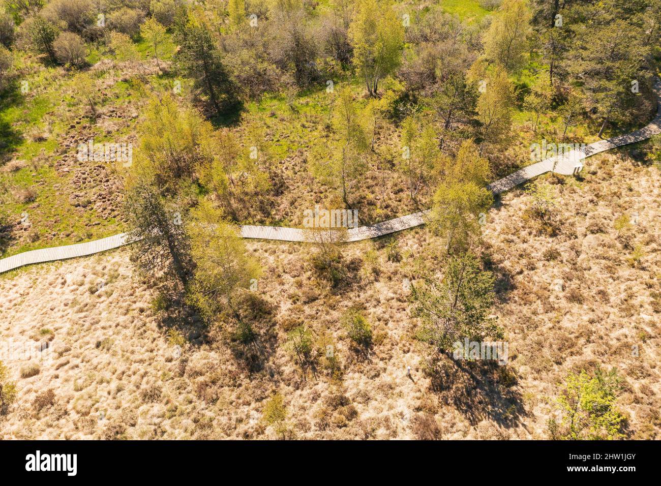 Bog types hi-res stock photography and images - Alamy