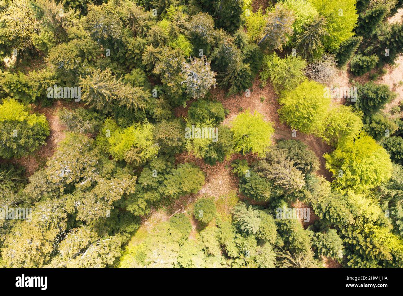 Bog types hi-res stock photography and images - Alamy