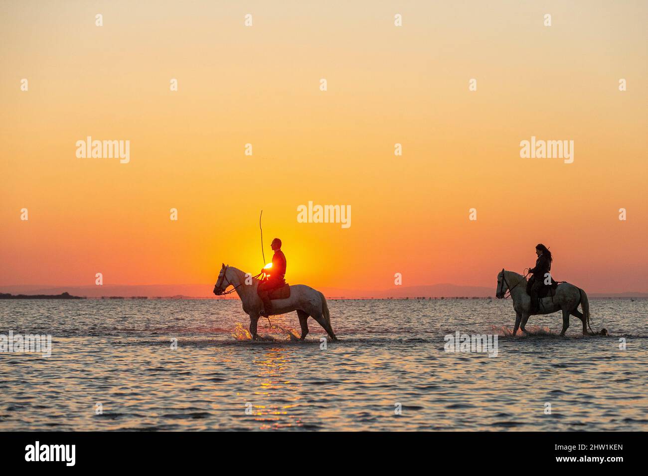 France, Bouches-du-Rhone, Provence-Alpes-C?te-d'Azur, Saintes Maries de ...