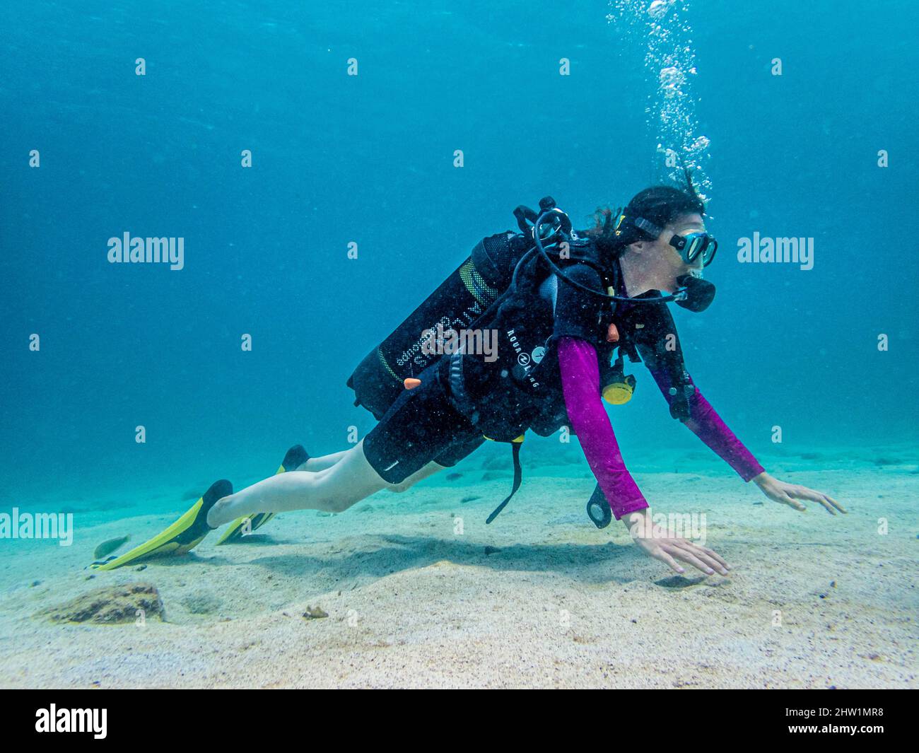 France, Caribbean, French West Indies, Guadeloupe, Basse-Terre ...