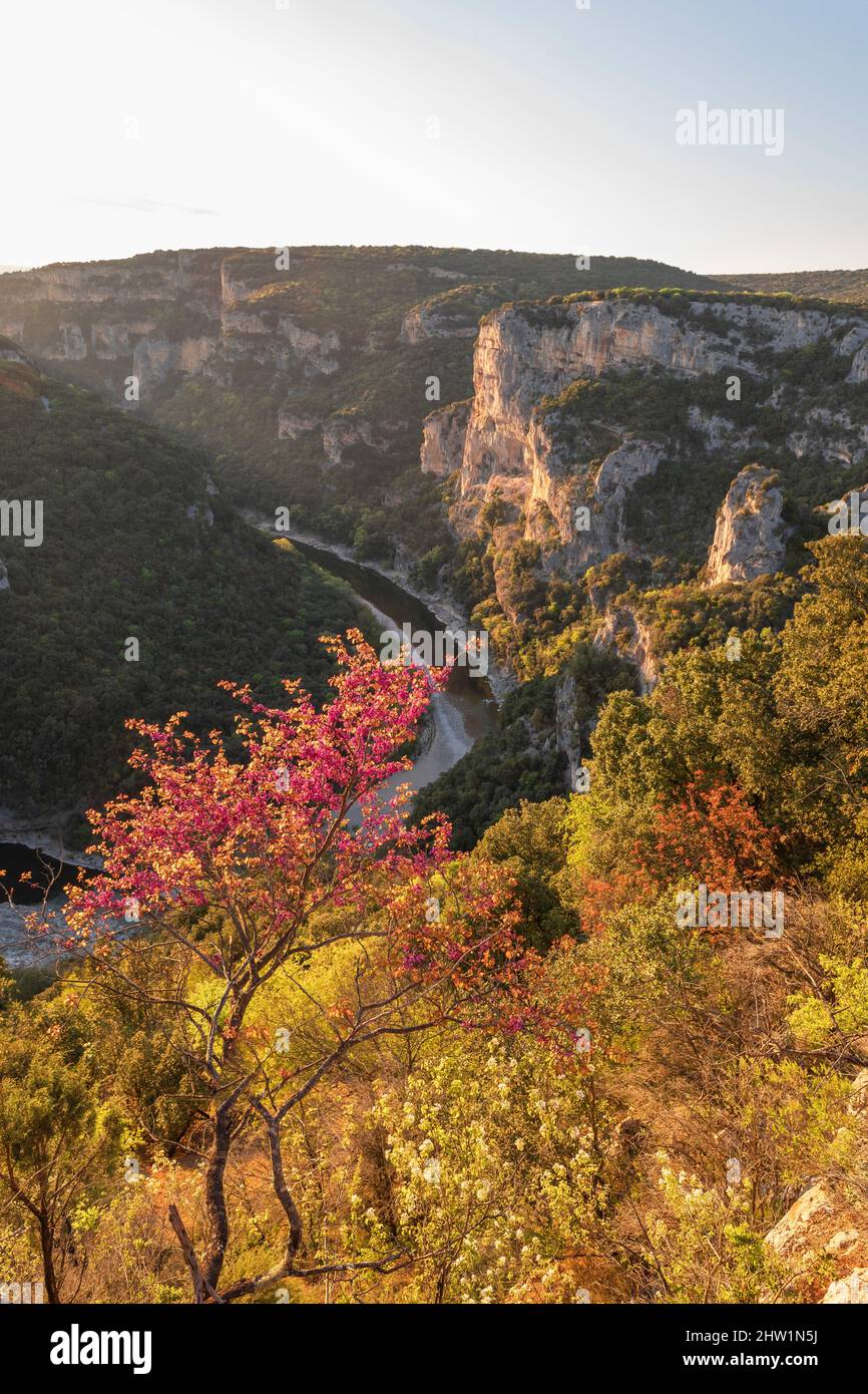 France, Ardeche, Vallon Pont d'Arc, The gorges of the Ardeche (National ...
