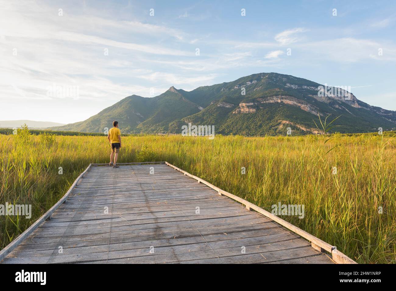 France, Ain, Bugey, Ceyzerieu, The Lavours marshes National Nature ...