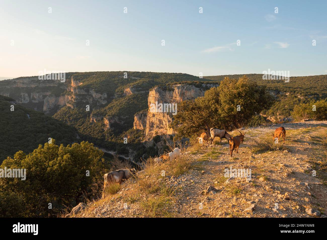 France, Ardeche, Vallon Pont d'Arc, The gorges of the Ardeche (National ...