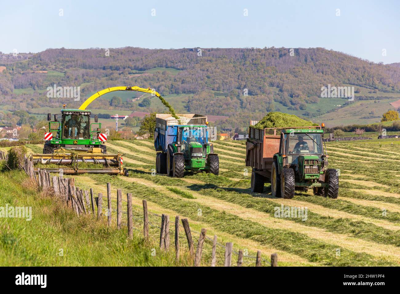 France, Haute-Loire, fodder silage in Arvant Stock Photo - Alamy