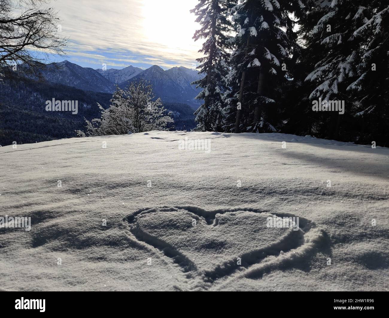 Scenic view of a heart shape on the snow against the green pine forests ...