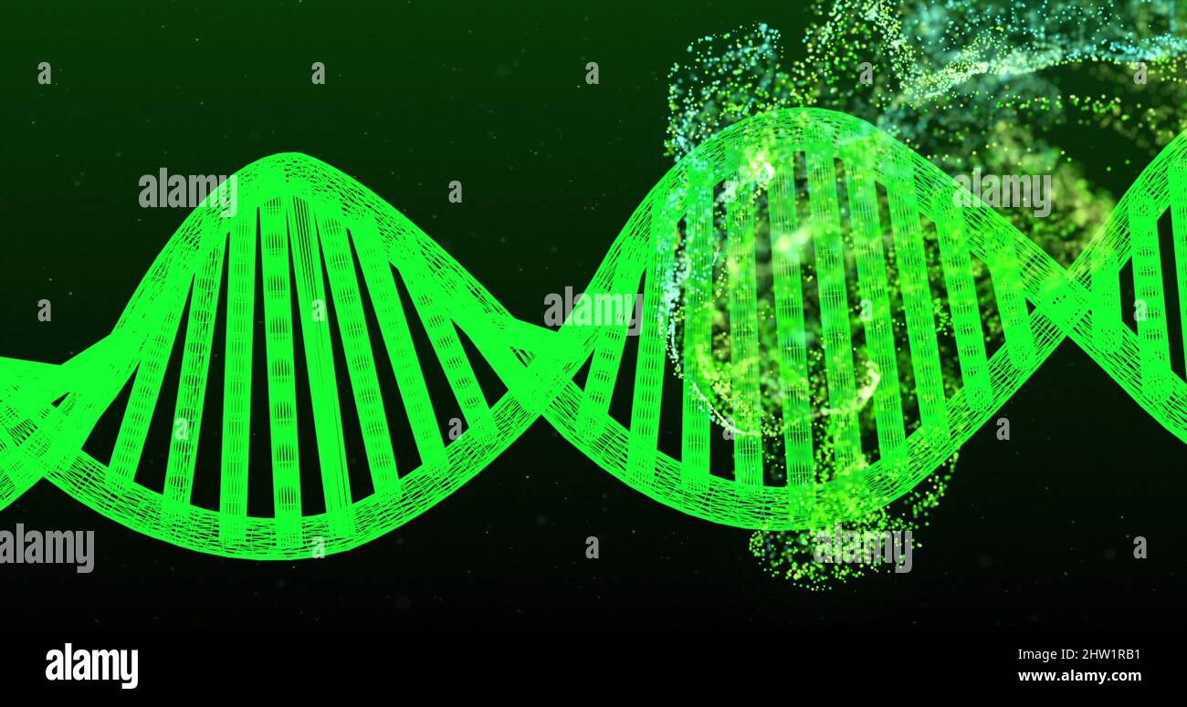 Image of dna strand and green spots on black background Stock Photo - Alamy