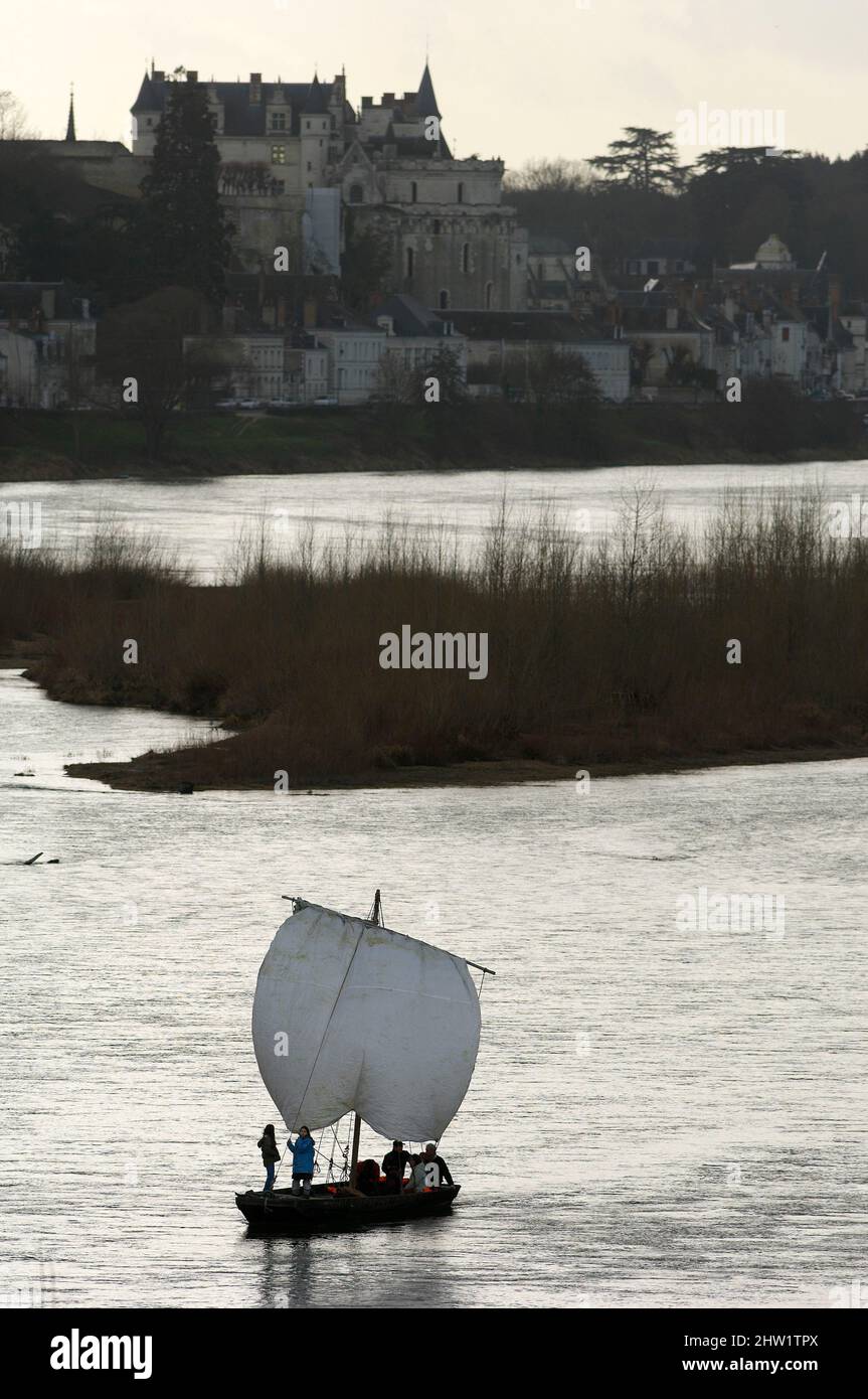 France, Indre-et-Loire (37), Traditional boat (a toue) sailing on the ...