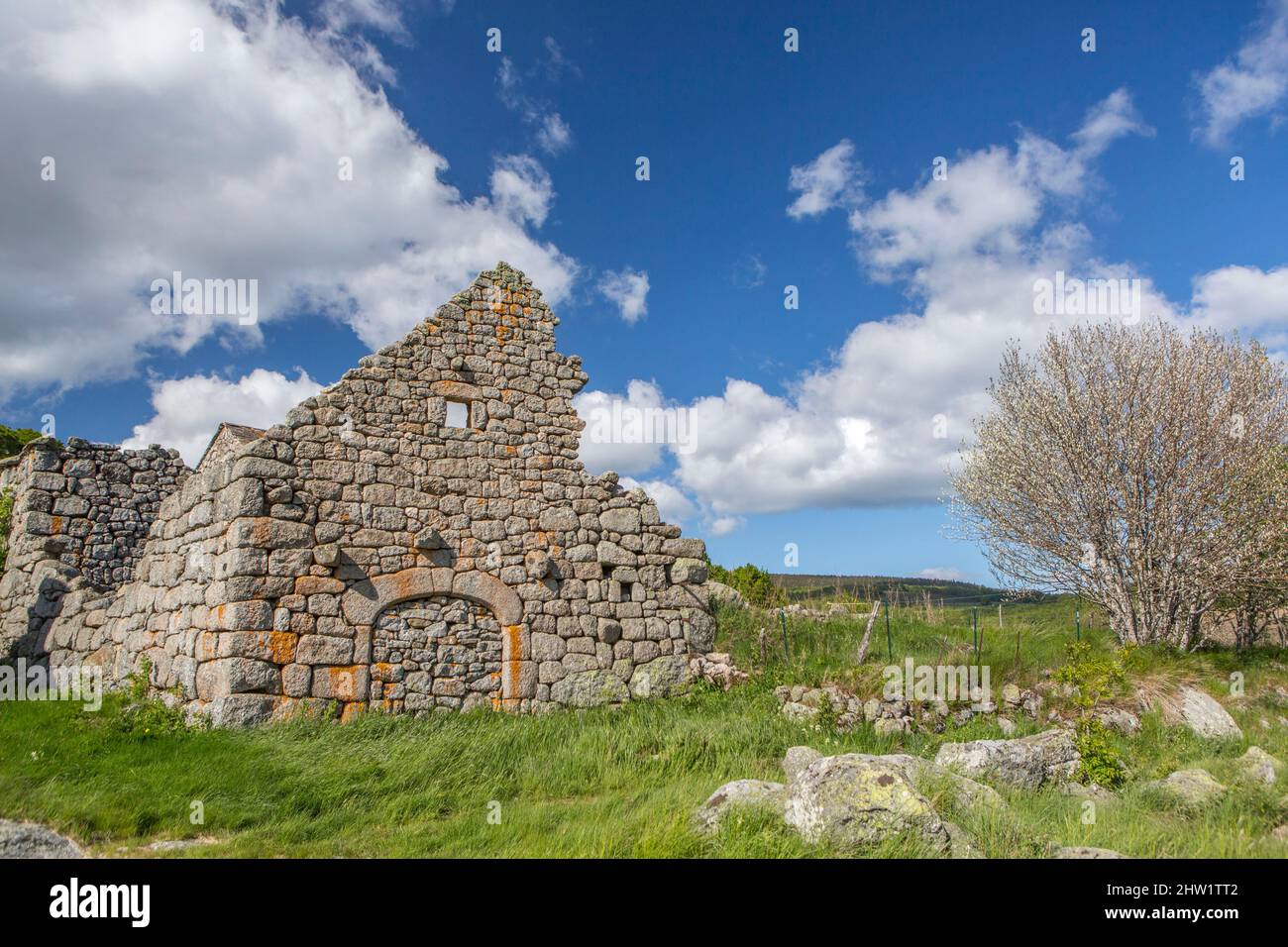 France, Lozere, the Causses and the Cevennes, Mediterranean agro ...