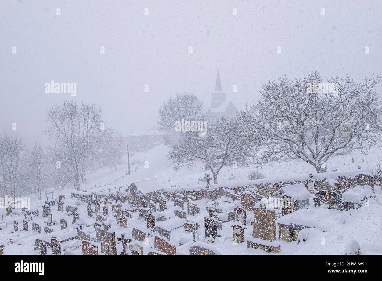 Chabanne hi-res stock photography and images - Alamy