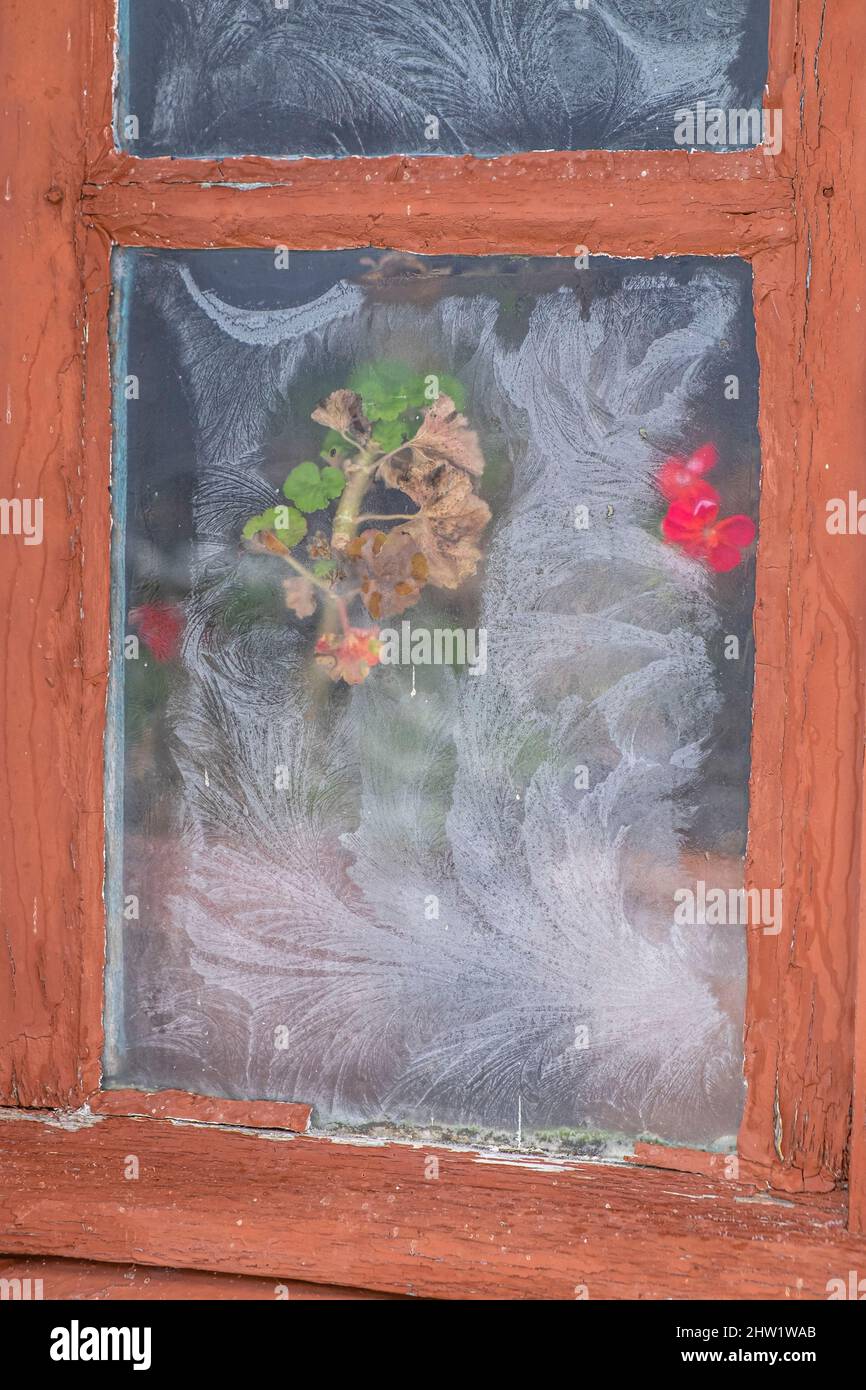 Chabanne hi-res stock photography and images - Alamy