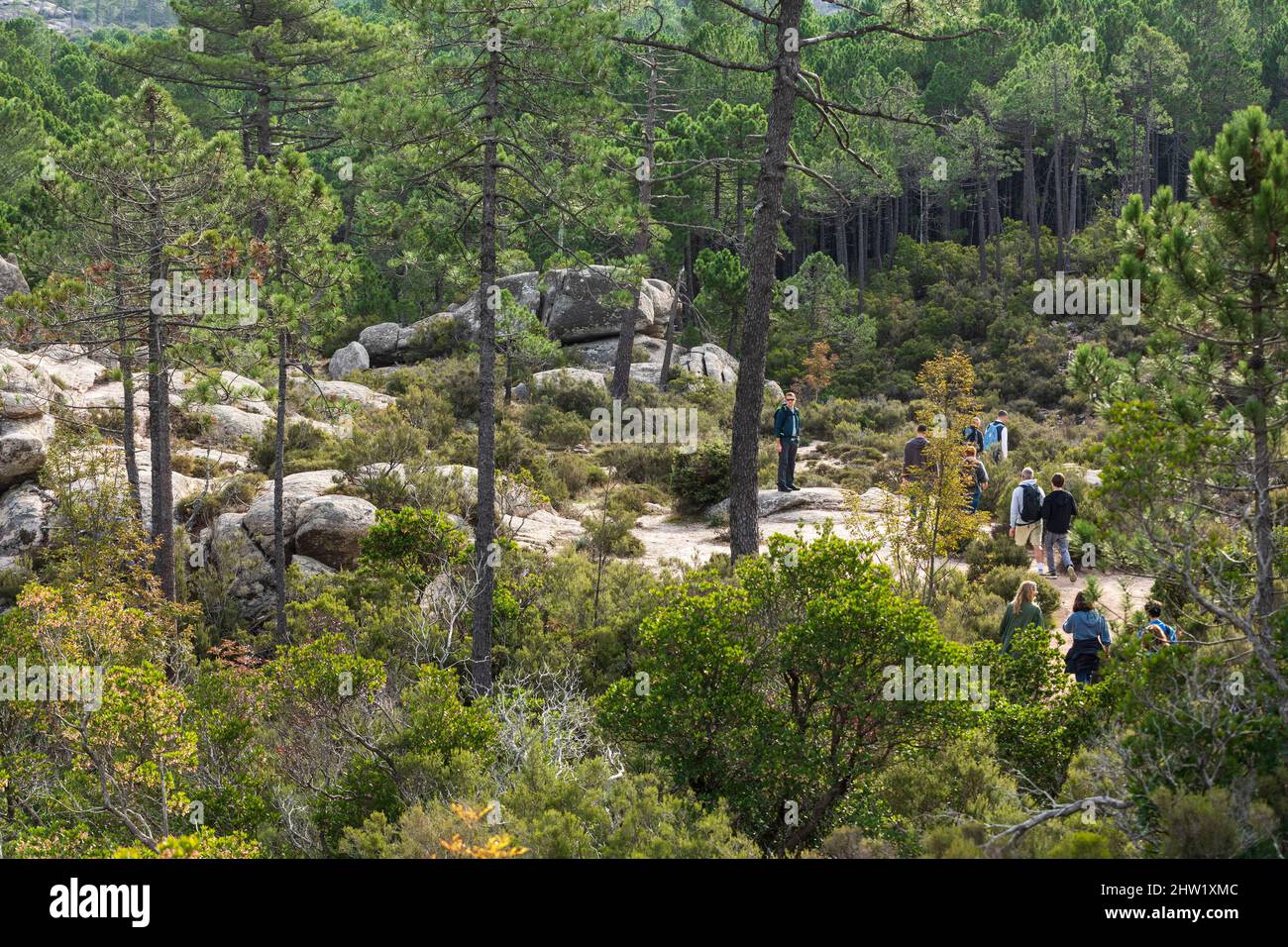 France, Corse du Sud, Regional Natural Park of Corsica, Porto Vecchio ...
