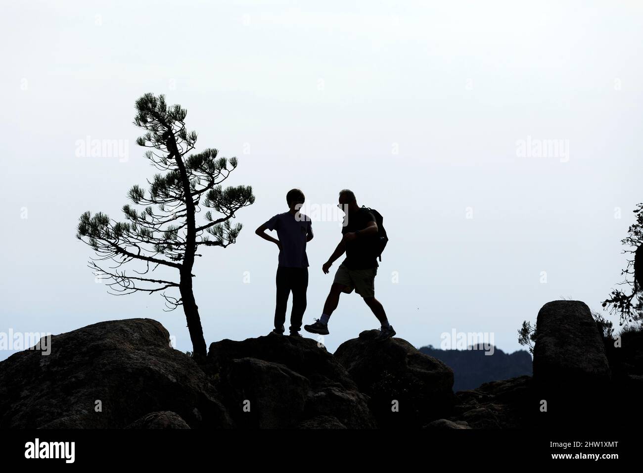 France, Corse du Sud, Regional Natural Park of Corsica, Porto Vecchio ...