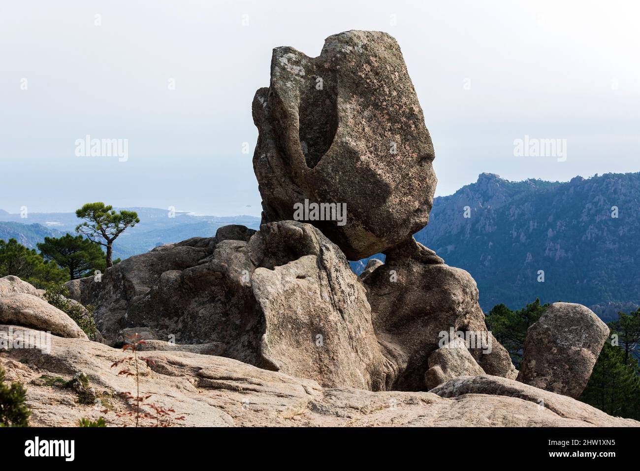 France, Corse du Sud, Regional Natural Park of Corsica, Porto Vecchio ...