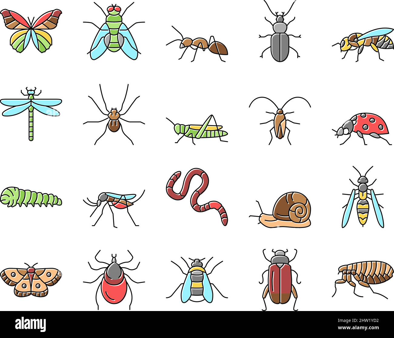 Insect, Spider And Bug Wildlife Icons Set Vector Stock Vector Image ...