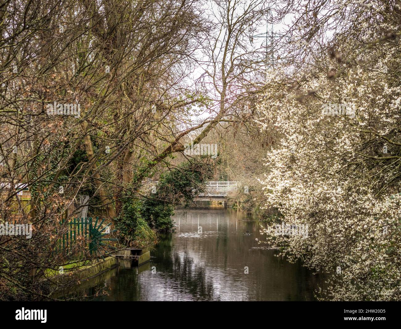 River wandle london path hi-res stock photography and images - Alamy