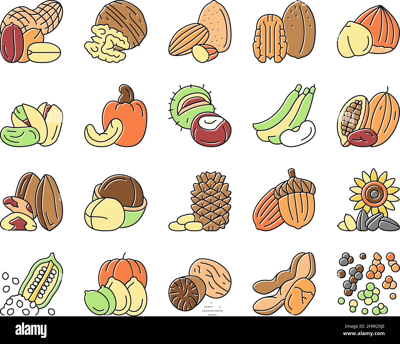 Nut Delicious Natural Nutrition Icons Set Vector Stock Vector Image ...